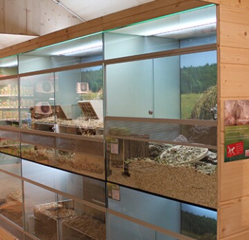 Tierisch engagiert - Adoptierstuben | FRESSNAPF