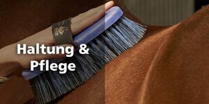 EQUIVA Reitsport Online-Shop | FRESSNAPF