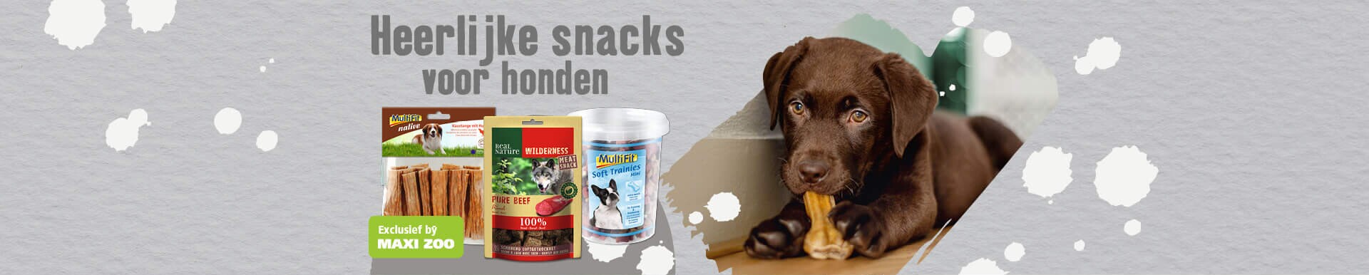 Koop hondenaccessoires en -benodigdheden in de hondenwinkel | MAXI ZOO