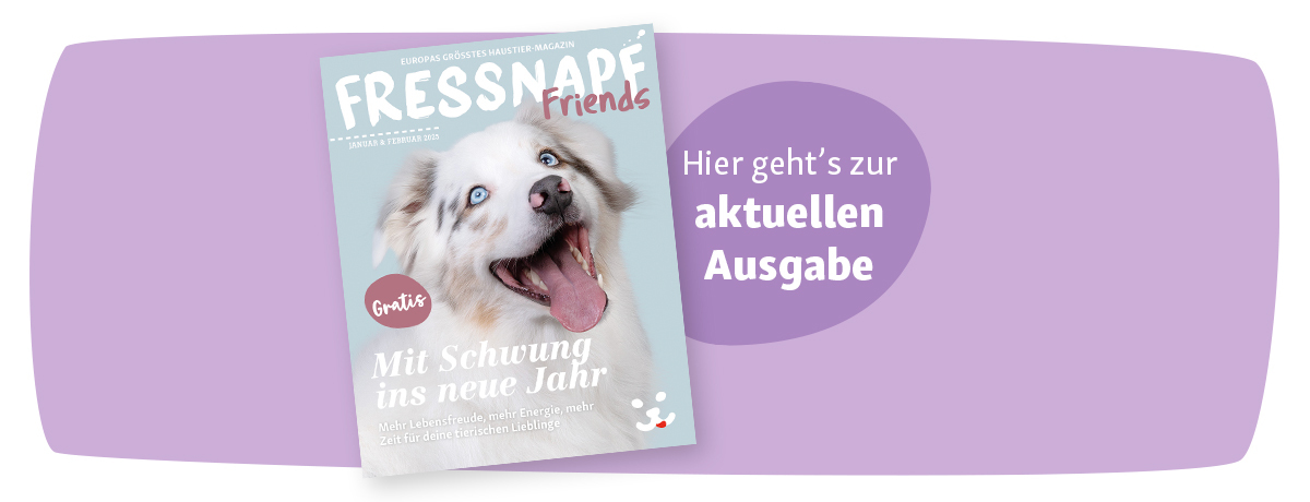 Alles rund ums Tier im Fressnapf Magazin | FRESSNAPF