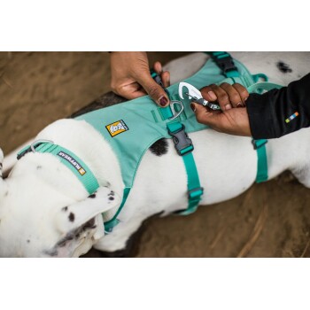 Ruffwear Hi & Light™ Halsband grün XS | FRESSNAPF