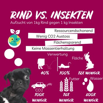 BugBell GmbH BugBell BugKeks Adult 150 g Cranberry und Käse | FRESSNAPF