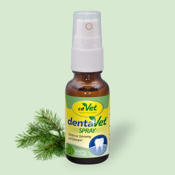 dentaVet Spray 50ml | FRESSNAPF
